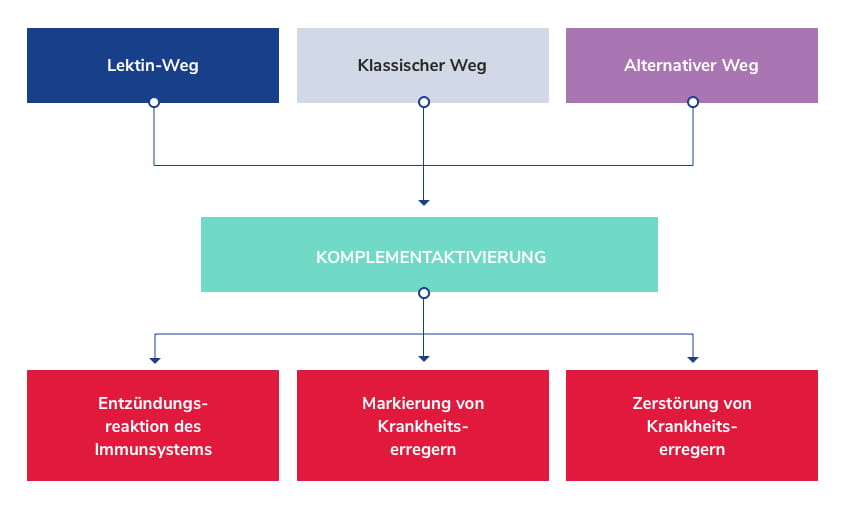Komplementerkrankung: Symptome und Behandlung | Alexion